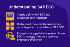 Understanding SAP ERP Central Component (ECC) - Isaac Manuel