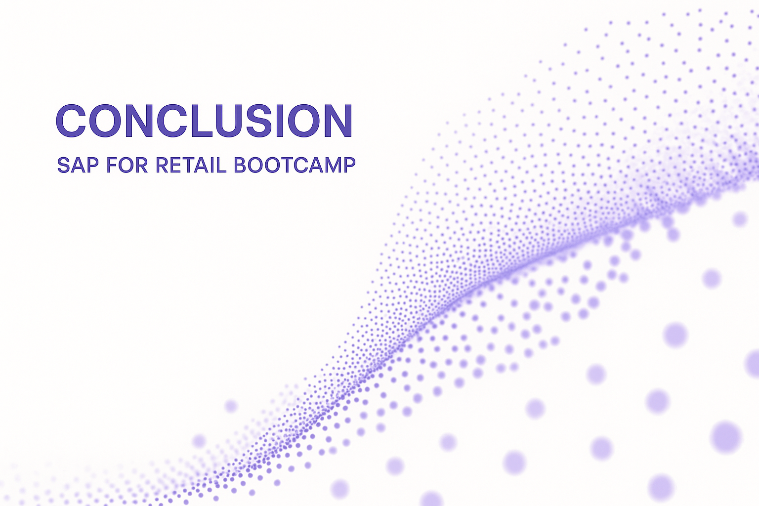 Conclusion – SAP for Retail Bootcamp - Isaac Manuel - SAP Retail Course